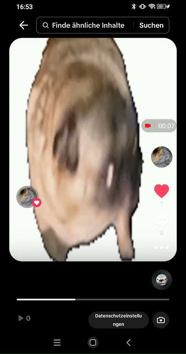 mein Tik Tok Video - YouTube