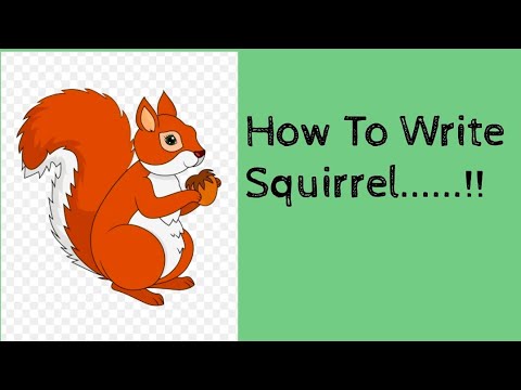 How to Write Squirrel 🐿️ Step by Step|| Miracles - YouTube