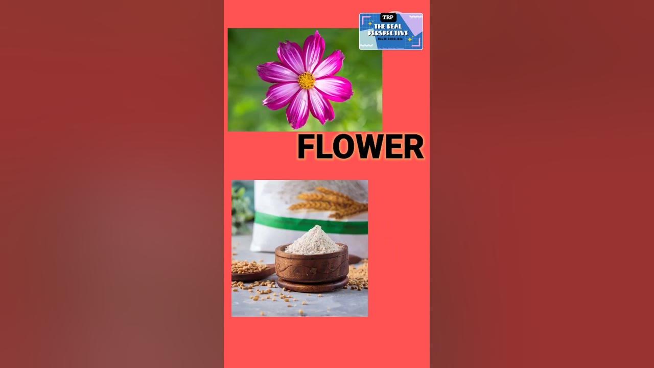 Commonly Confused Words In English #viralshorts #education #shorts #viralvideo - YouTube