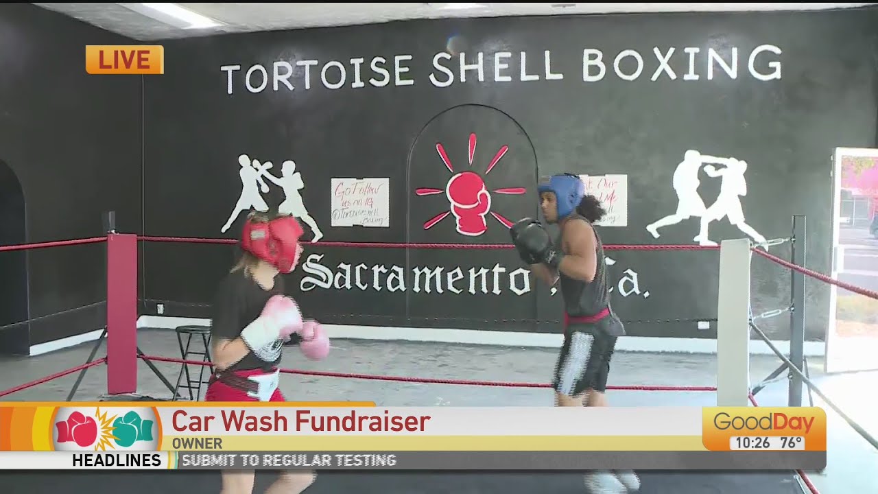 Tortoise Shell Boxing Fundraiser - YouTube