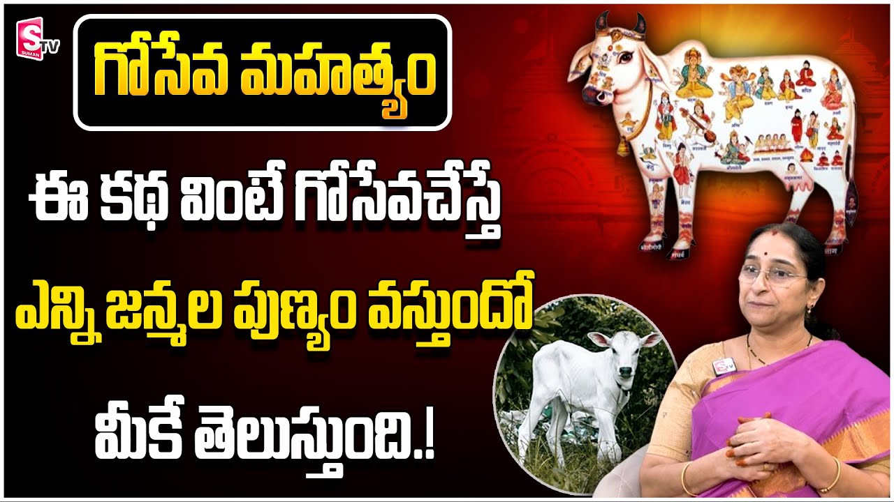 Ramaa Raavi | Significance Of Goseva | Goseva Benifits | Darmasandehalu ...