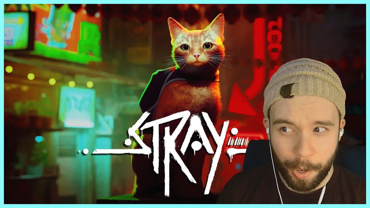 "My Cat Passed a Month Ago, Might Cry" Stray - YouTube