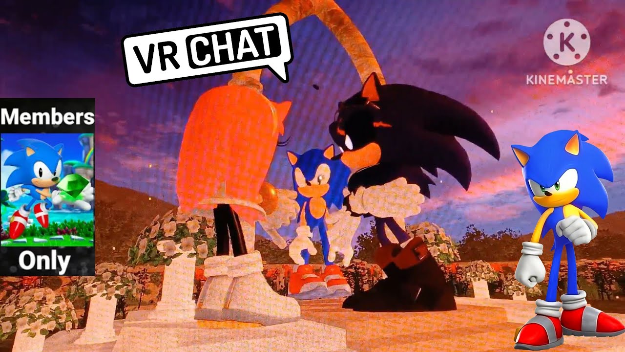 Amy Rose & Multiverse Dark Sonic Get Married In VRCHAT (Members Only ...