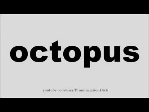 How to Pronounce octopus - YouTube