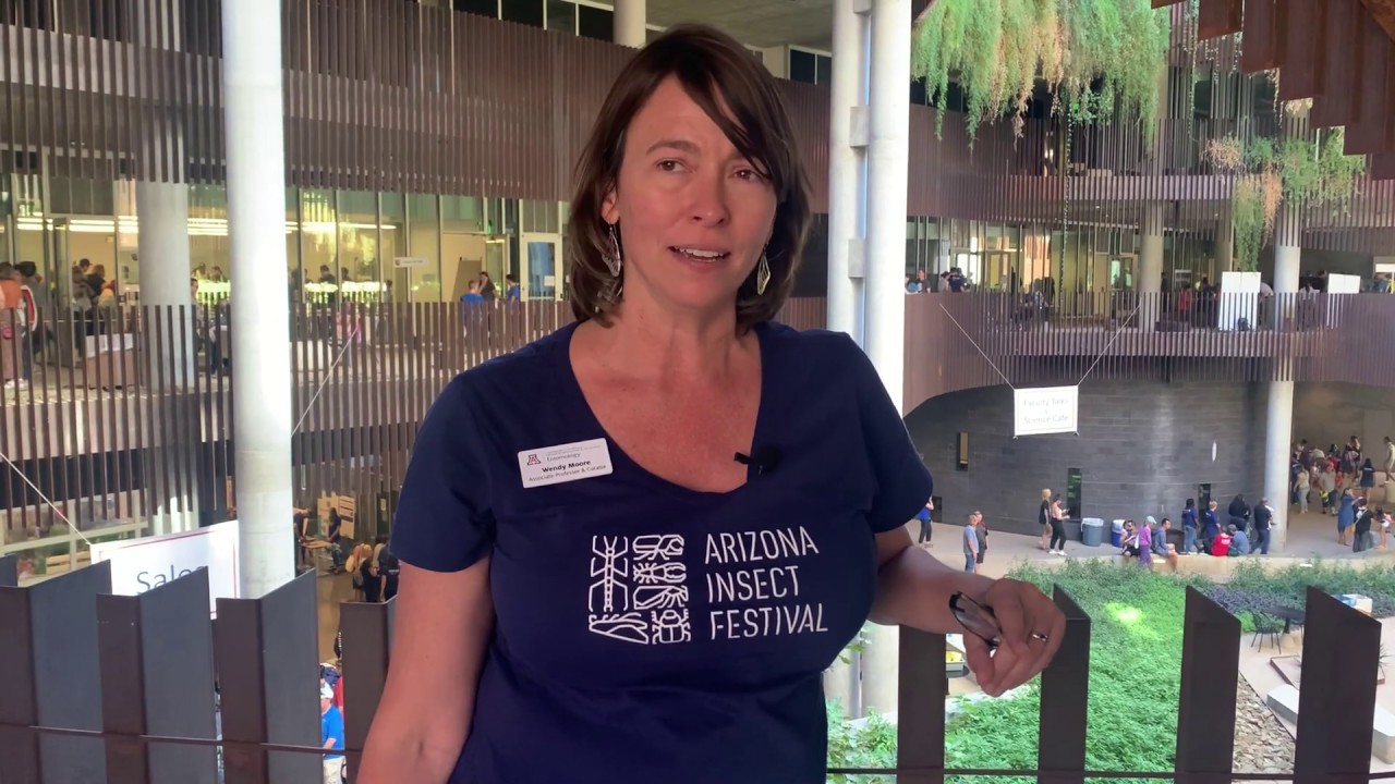 Arizona Insect Festival - YouTube
