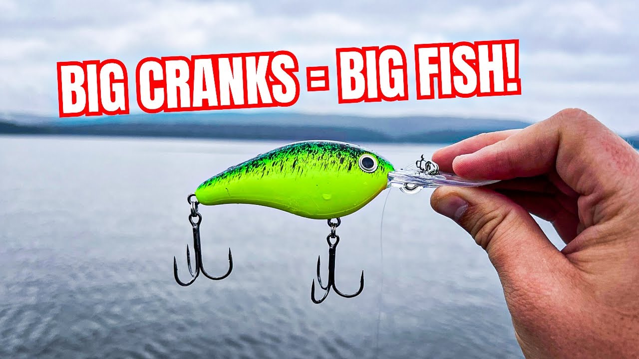 Catch BIG FISH Out Deep with this Bait! Alabama Day 3 - YouTube