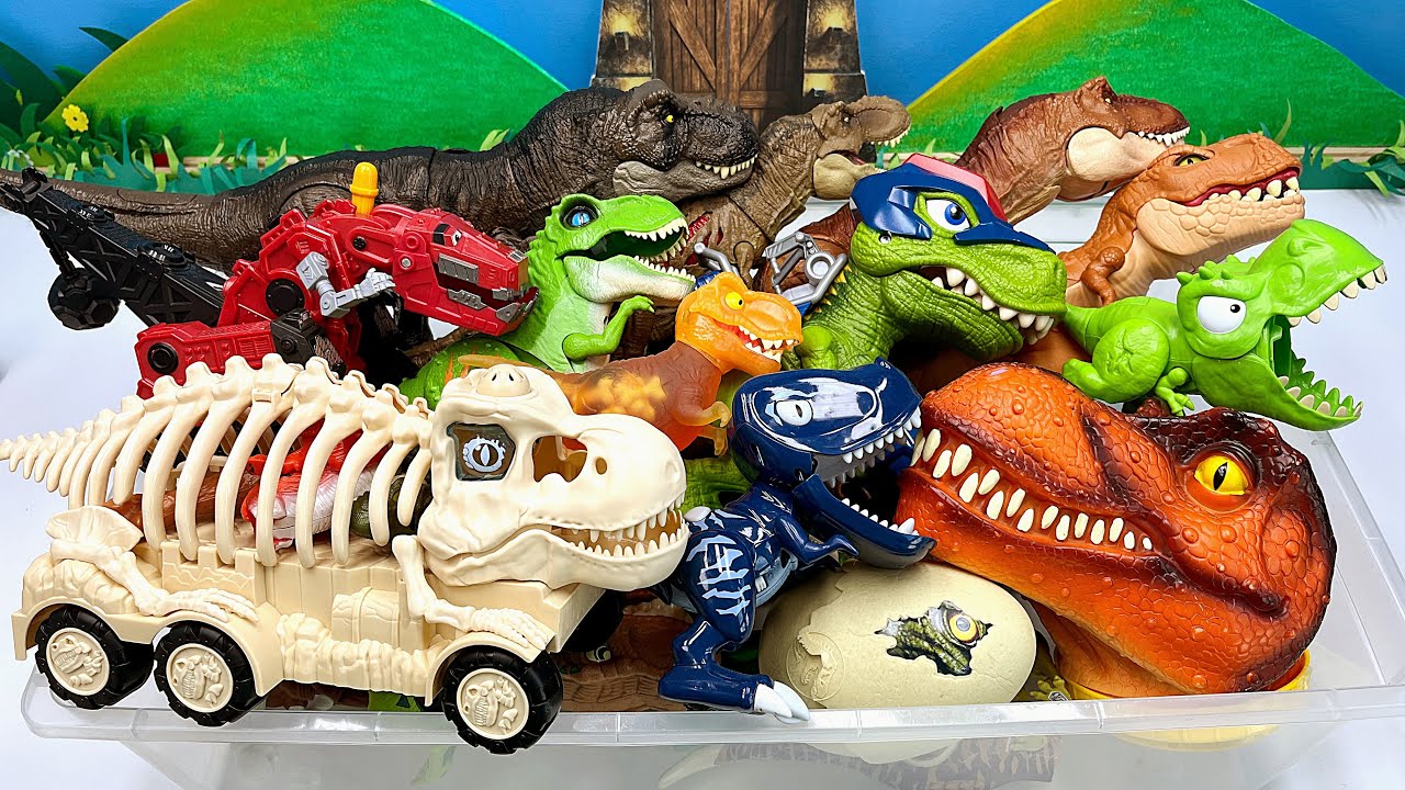 Dinosaur Tyrannosaurus Rex Box | My T-Rex Collection 티라노사우루스 공룡 박스 ...