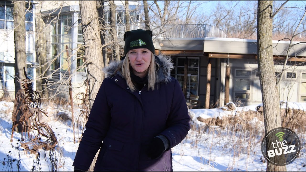 The Buzz: Season 3, Episode 1 - YouTube