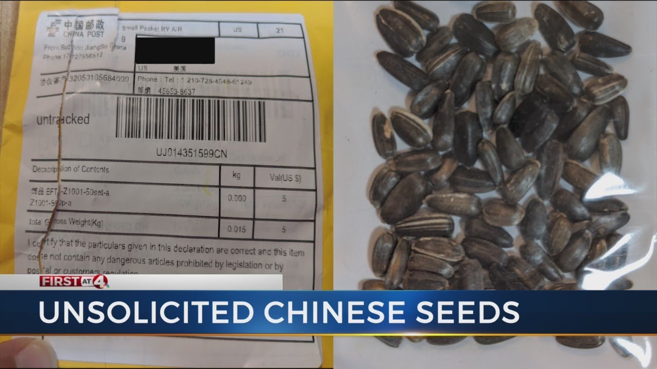 David Sunflower Seeds Barcode