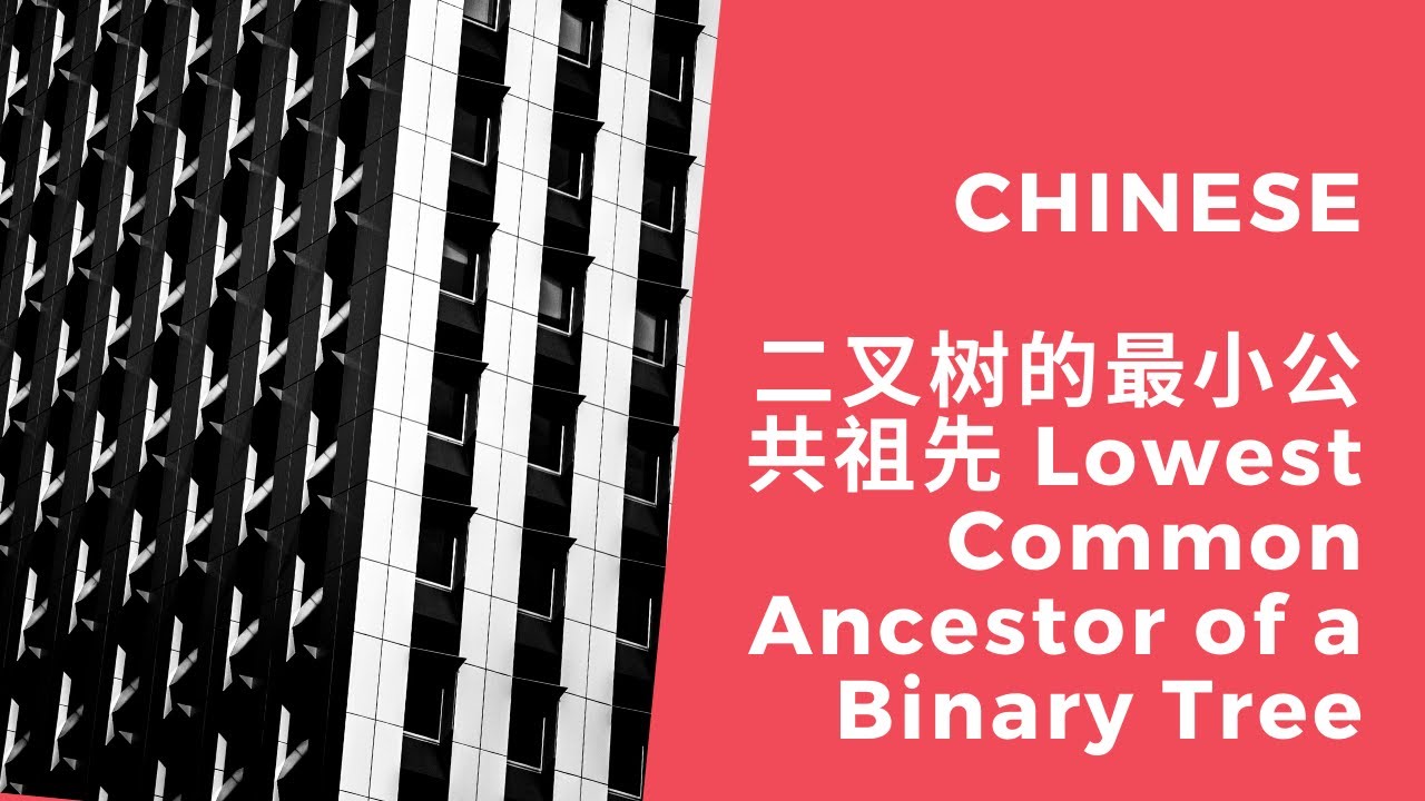 二叉树的最小公共祖先 Lowest Common Ancestor Of A Binary Tree Youtube