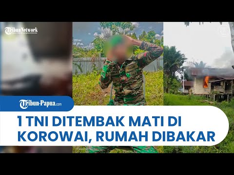 TPNPB-OPM Kodap XVI Yahukimo Tembak Mati 1 TNI di Korowai, 1 Rumah Dibakar