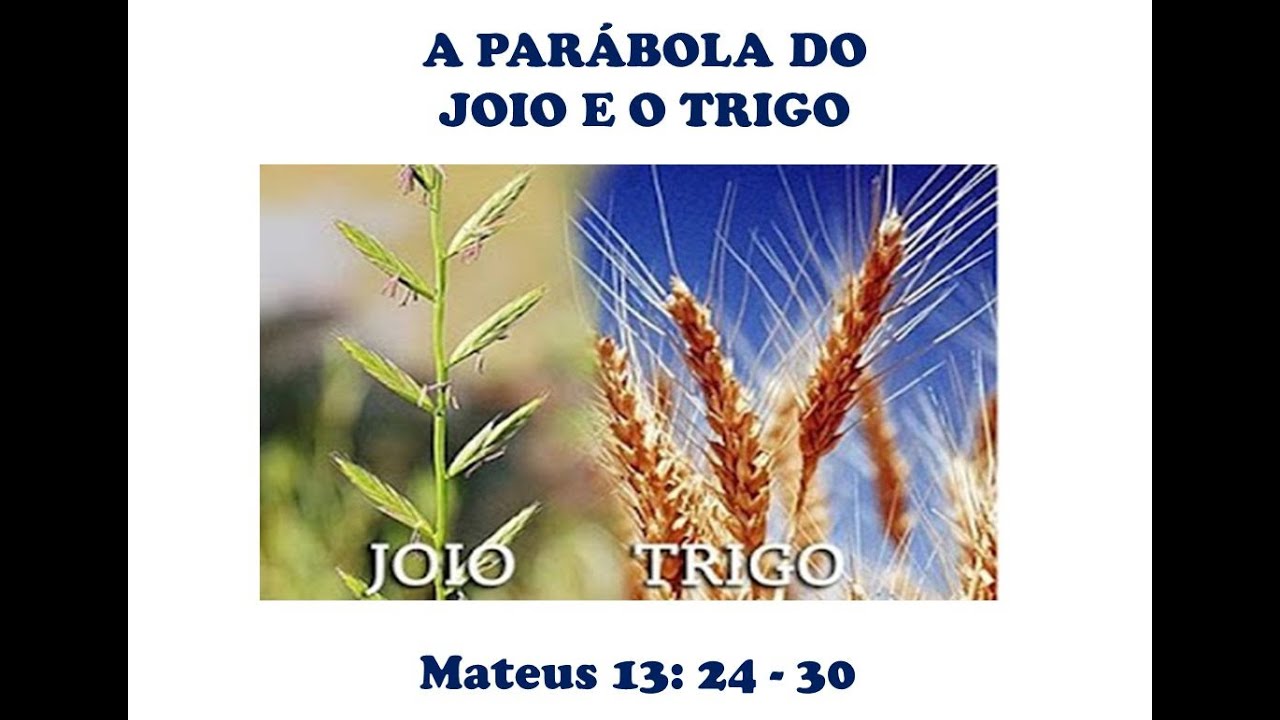 Aula EBD - O Joio e o Trigo (Prof. Bruna) - YouTube