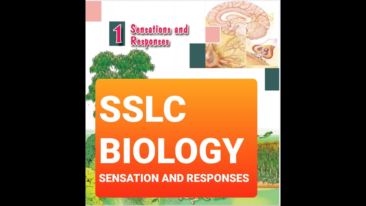 CLASS 10 BIOLOGY CHAPTER 1 SENSATIONS AND RESPONSES PART 1 KERALA class-10-biology-chapter-1-sensations-and-responses-part-1-kerala
