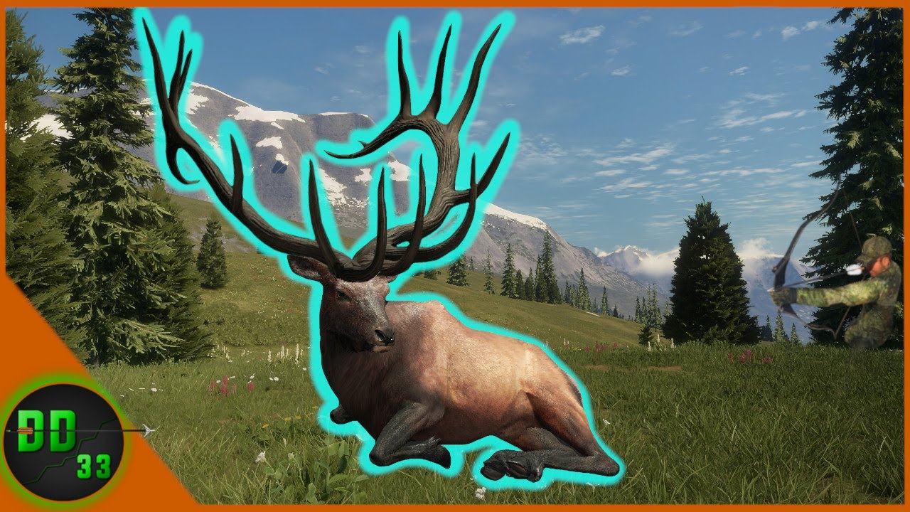 Hunting The Highest Peaks in The Rocky Mountains! Hunting Call Of The ...