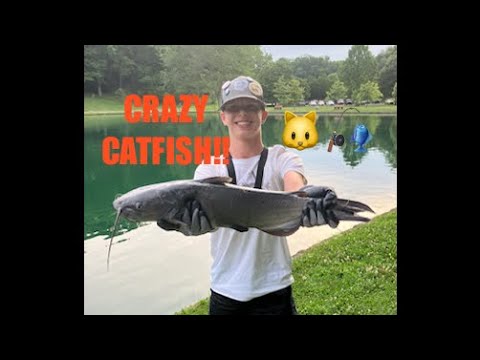 TWO CATFISH!!! INTENSE FIGHT!! (Crazy!!) - YouTube