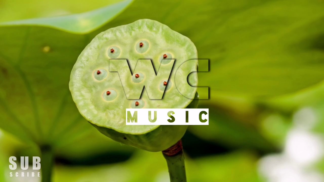 Night - Music by (MusicbyAden) | WC Music (No Copyright Music) - YouTube