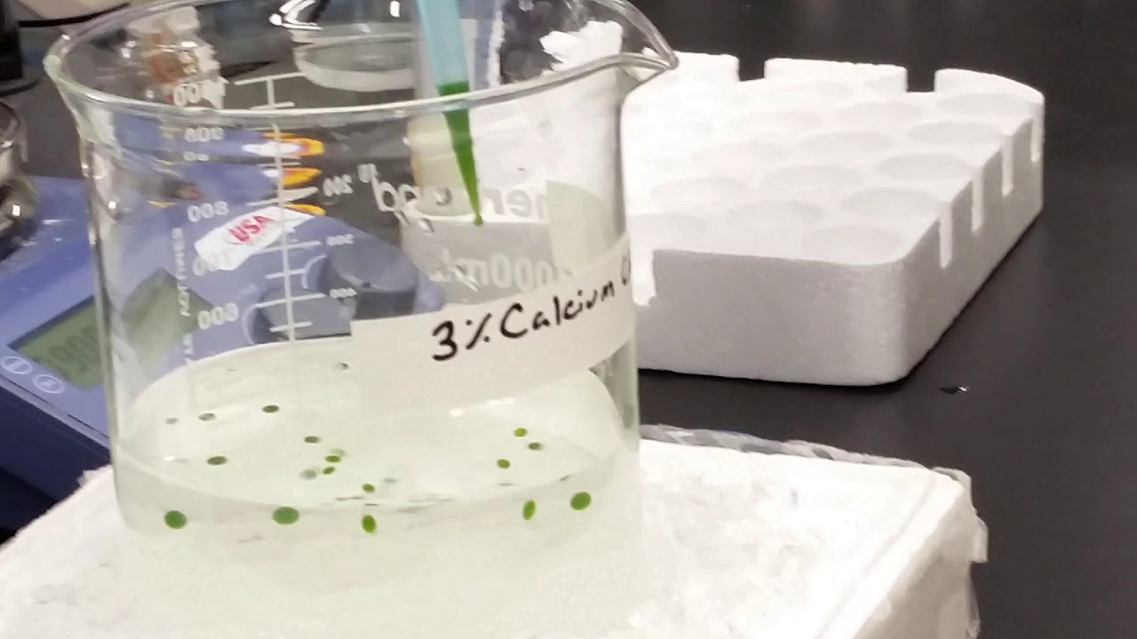 Step 1 solar-powered algae bracelet/necklace making - YouTube