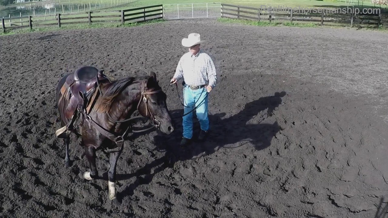 Warm-up Part 1 - Bolo Hunt - YouTube