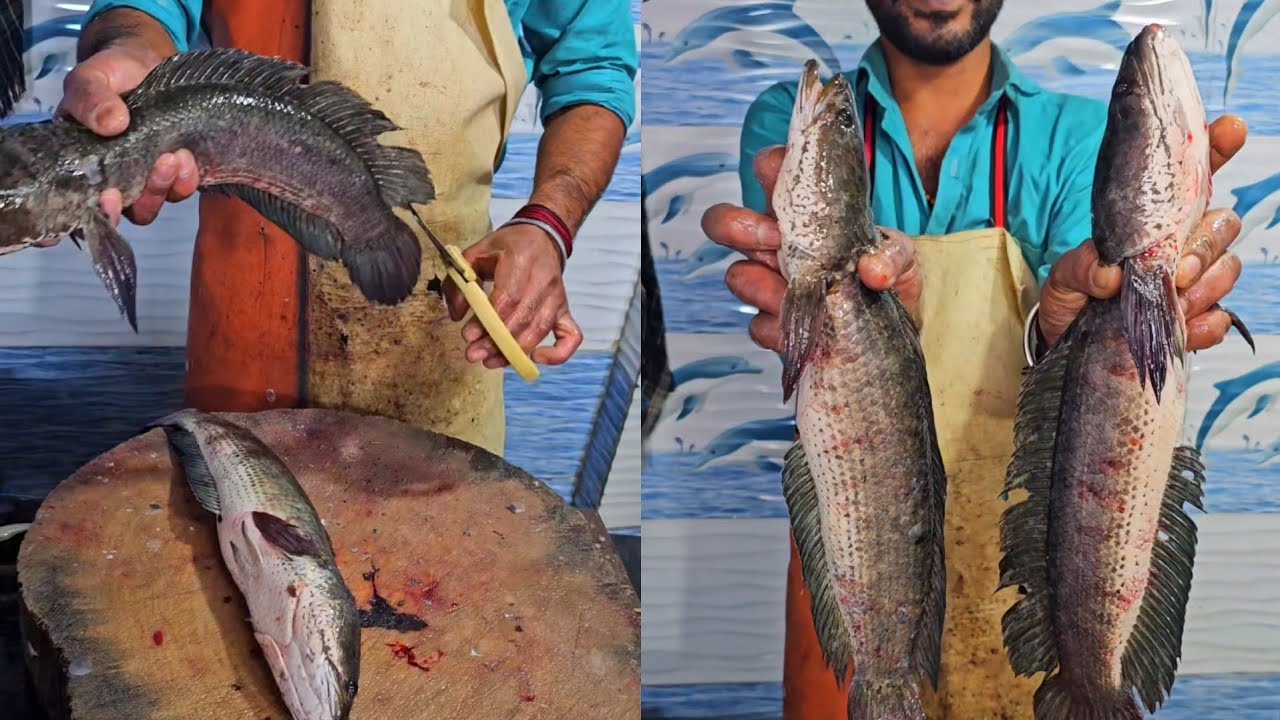 Varal korameen murral sol kannan cutting skills!! Sagar fish Hoodi ...