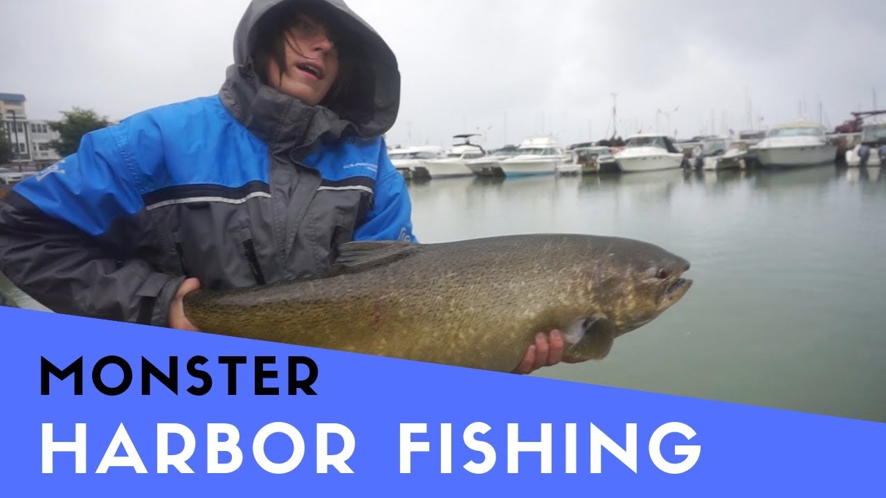 MONSTER SALMON! Harbor Fishing - YouTube