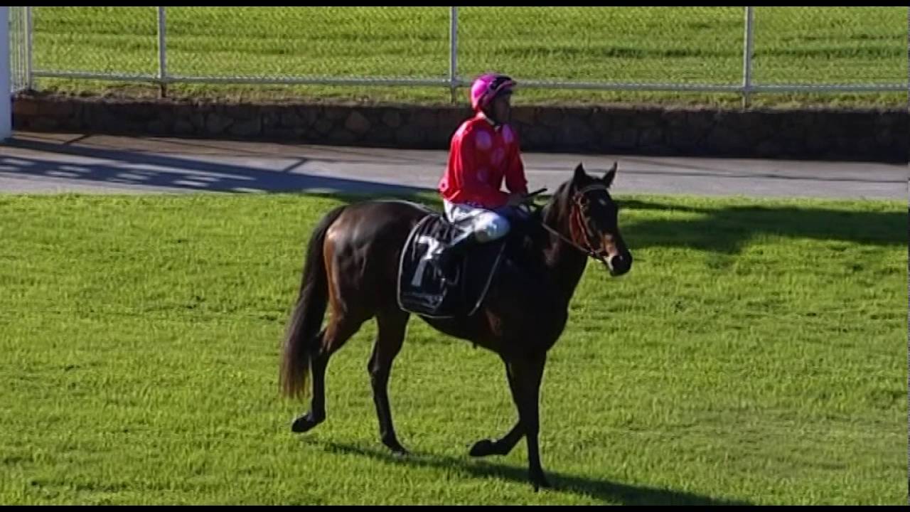 Belmont Park, 11/05/2016 - Race 5 - JEWEL SASSO - Phil Humann & Peter ...