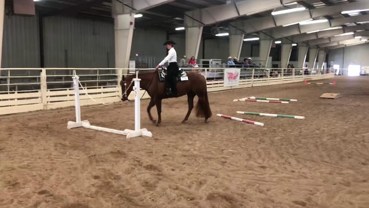 Pretty Cool Execute AQHA Trail - YouTube