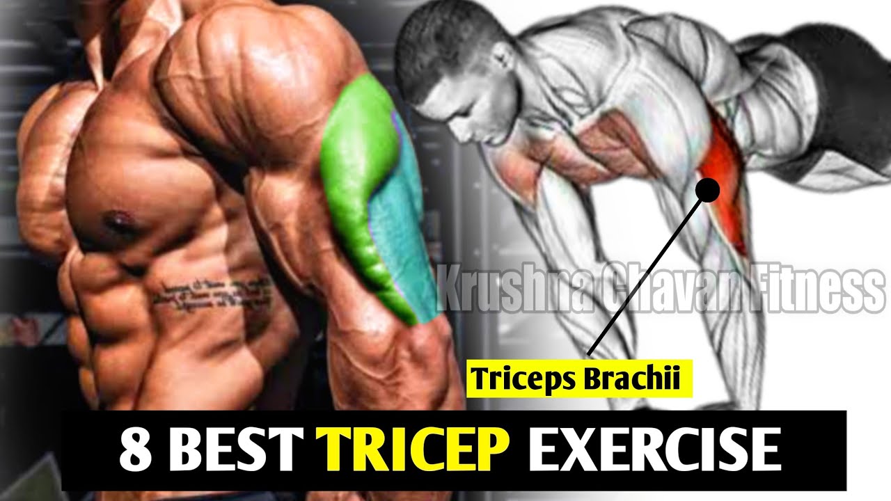 8 Best Tricep Exercises for Bigger Arms - Triceps brachii exercises ...