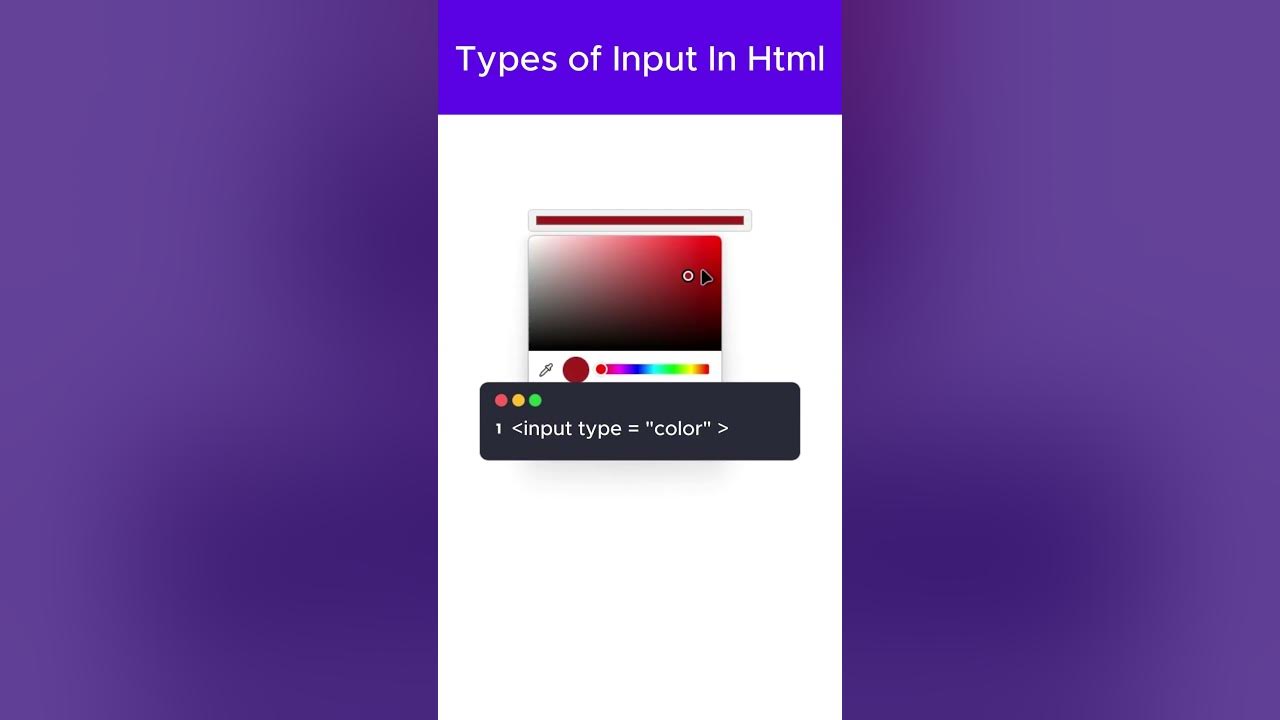 Types Of Input Fields In Html Webdevelopment Coding Css Programming Webdesign Website