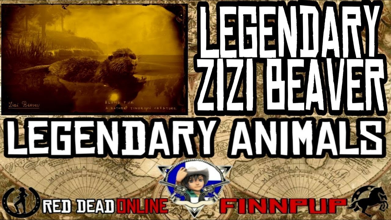 Legendary Zizi Beaver location and Zizi Coat from Gus store - Red Dead ...