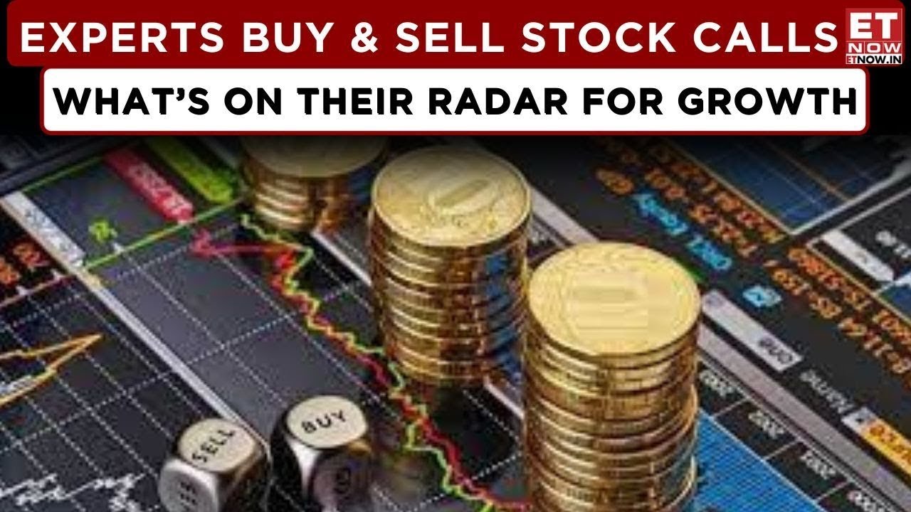 Best Large, Mid And Small Cap Stocks to Buy: Market Expert: Avani Bhatt & Nooresh's Top Stock ...
