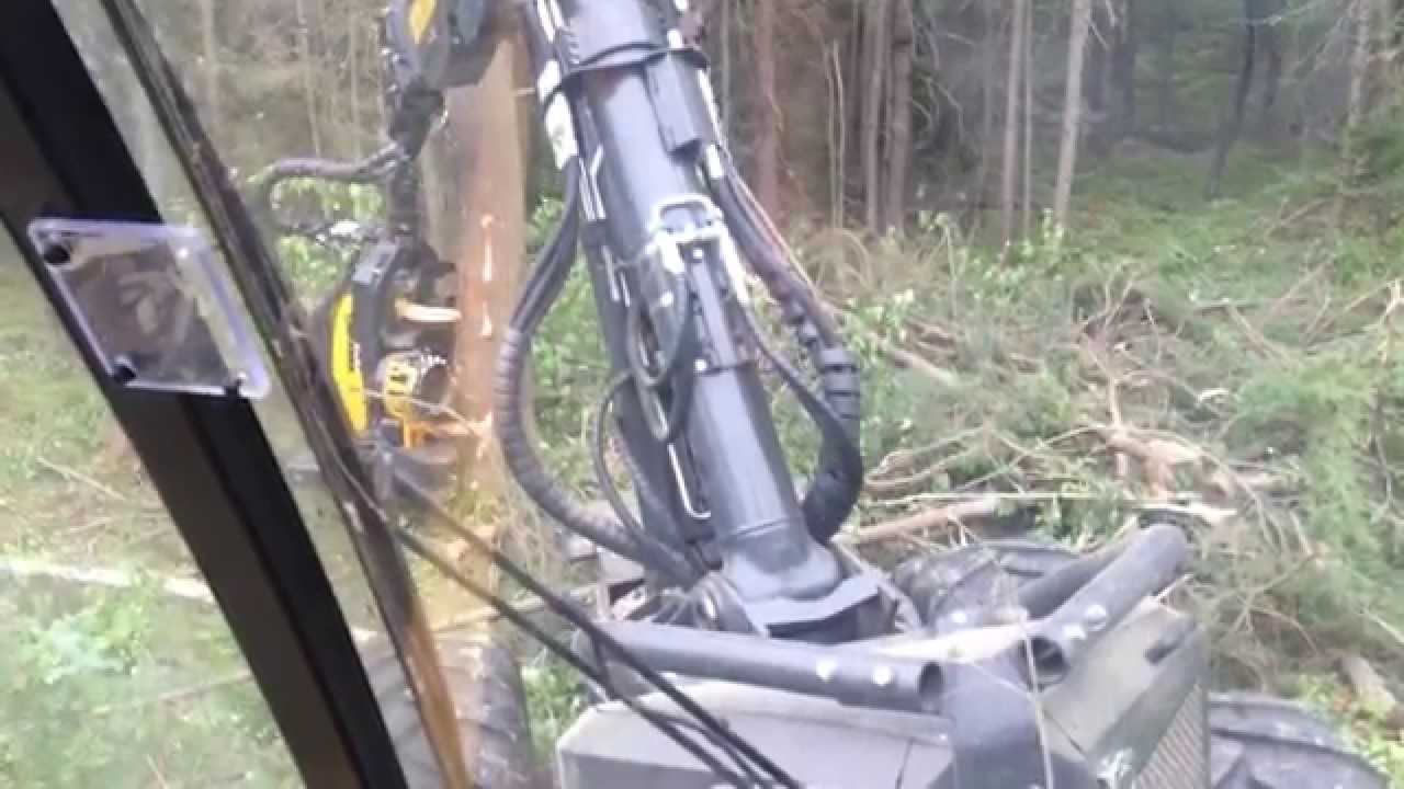New Ponsse Ergo 6 wheel H7. Summer Swamp - YouTube