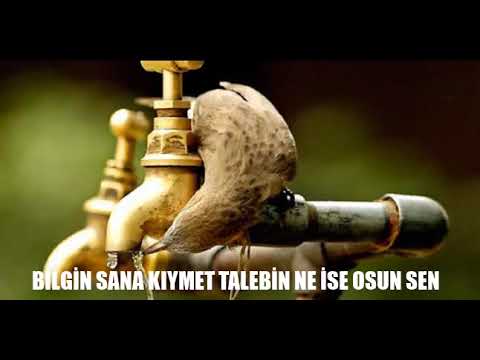 HALİN NE İSE MÜŞTERİ SEN OLDUN O HALE