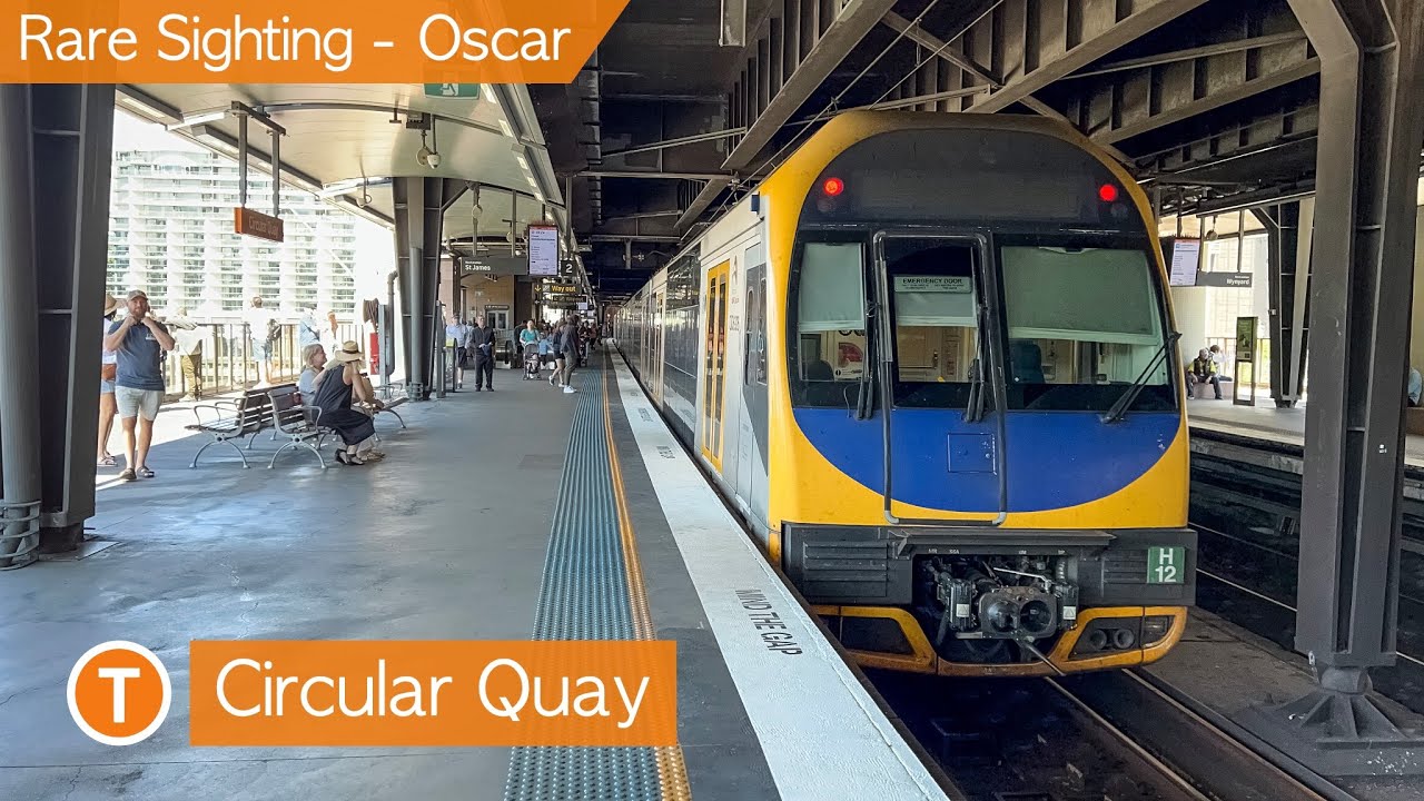 Transport for Sydney Vlog 733: Circular Quay Part 8 + A Rare Sighting ...
