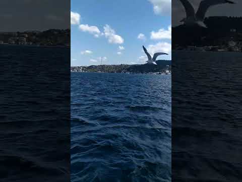 Bir hayalin bin hayalime ışık tutar..💛♥️👩‍❤️‍👨    #istanbul#boğazmanzarası