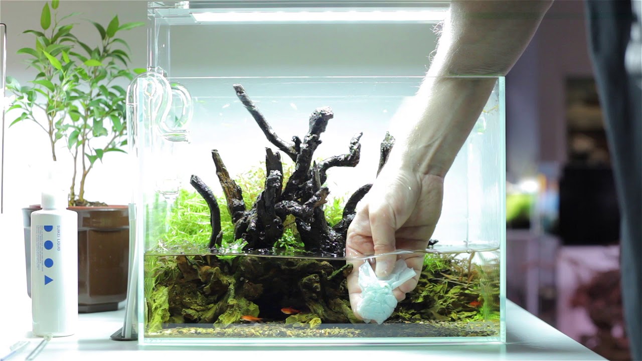 ADA Mini M | 36x22x26cm | Day 58 - YouTube