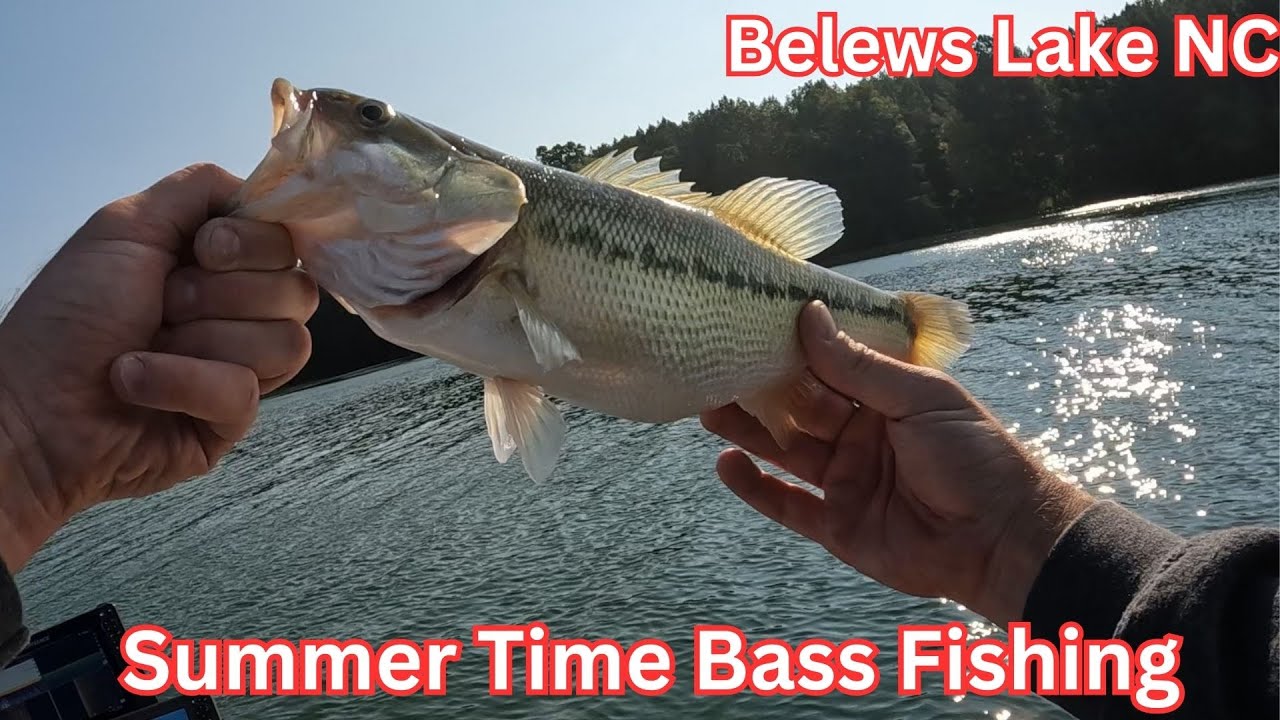 Summer Time Bass Fishing Belews Lake NC #bassfishing - YouTube