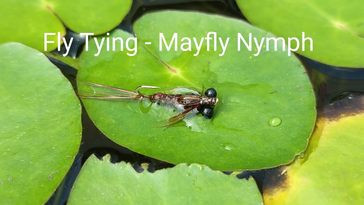 Fly Tying - Mayfly Nymph - YouTube