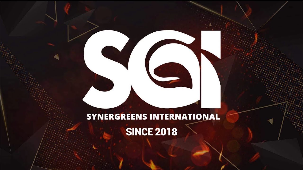 SGI Company profile - YouTube