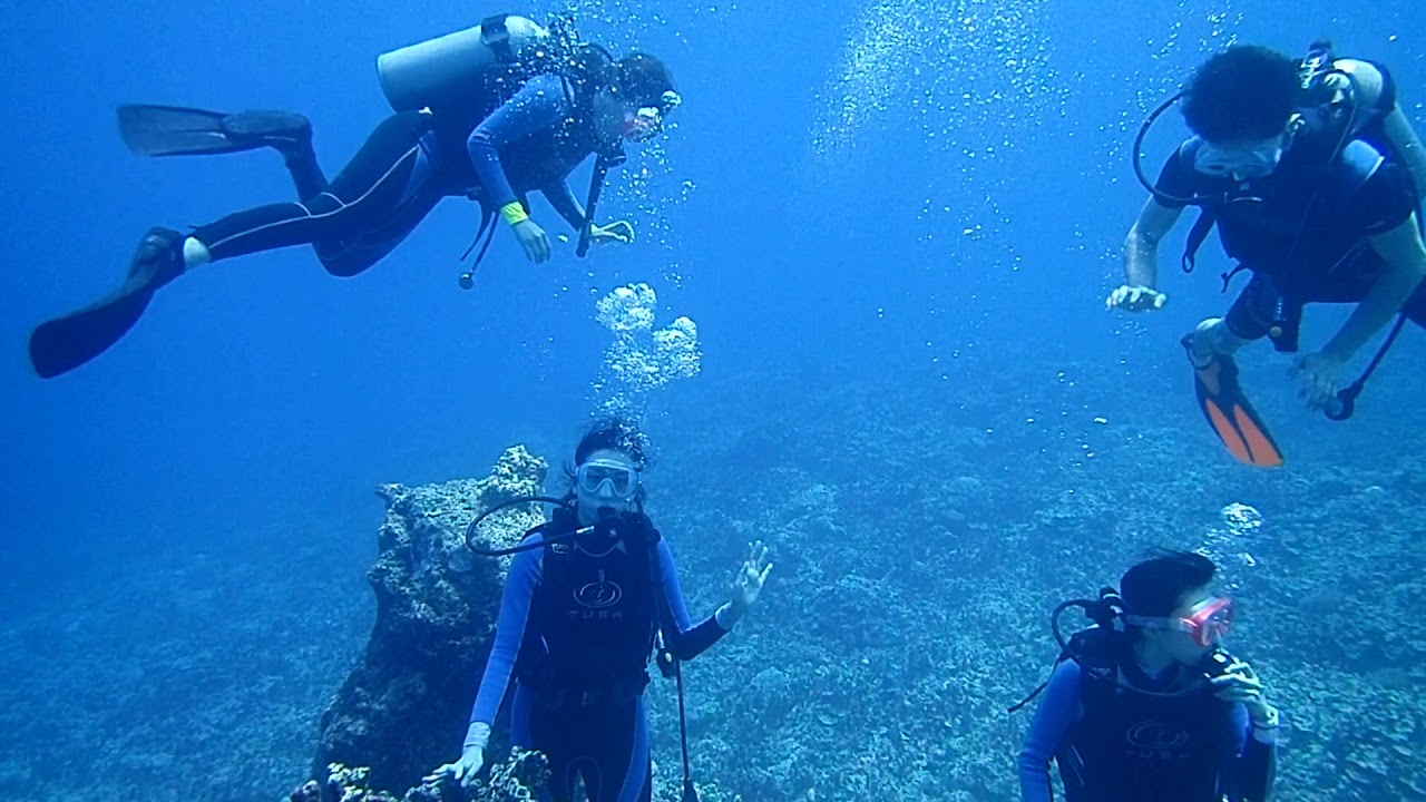 2018/04/19 Guam Turtle Intro Boat Diving｜SUNNY DIVERS - YouTube