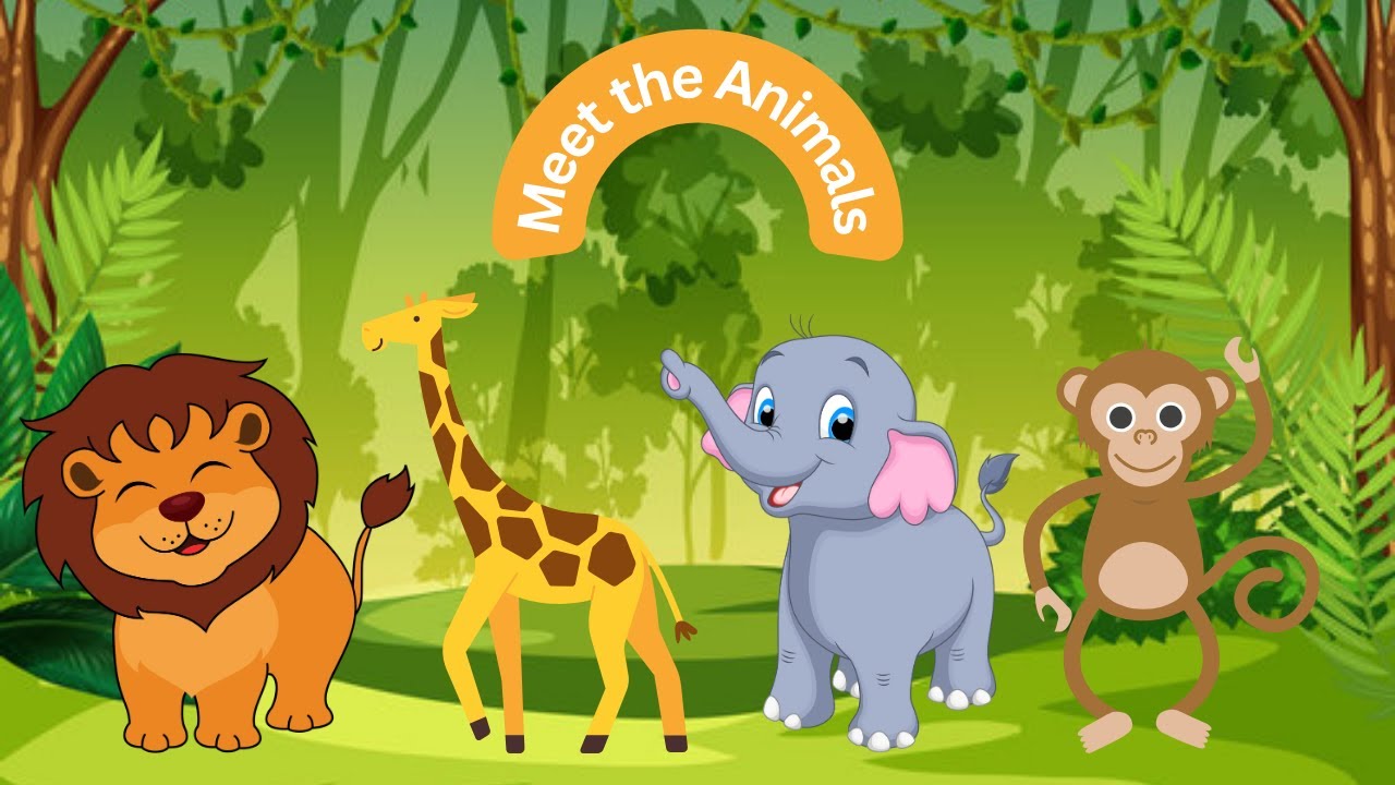 Meet the animals| Animals Introduction | Cartoon Videos # ...