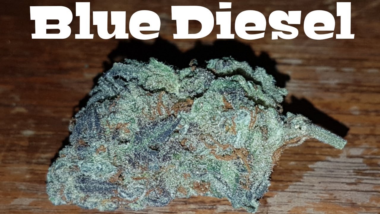 Strain Review - Blue Diesel - YouTube