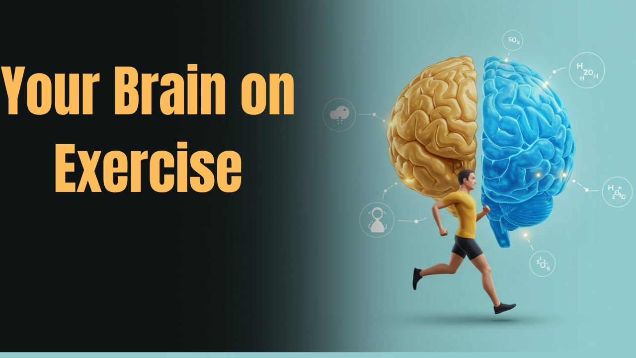 How Exercise Transforms Your Brain – The Neuroscience Behind Movement ...