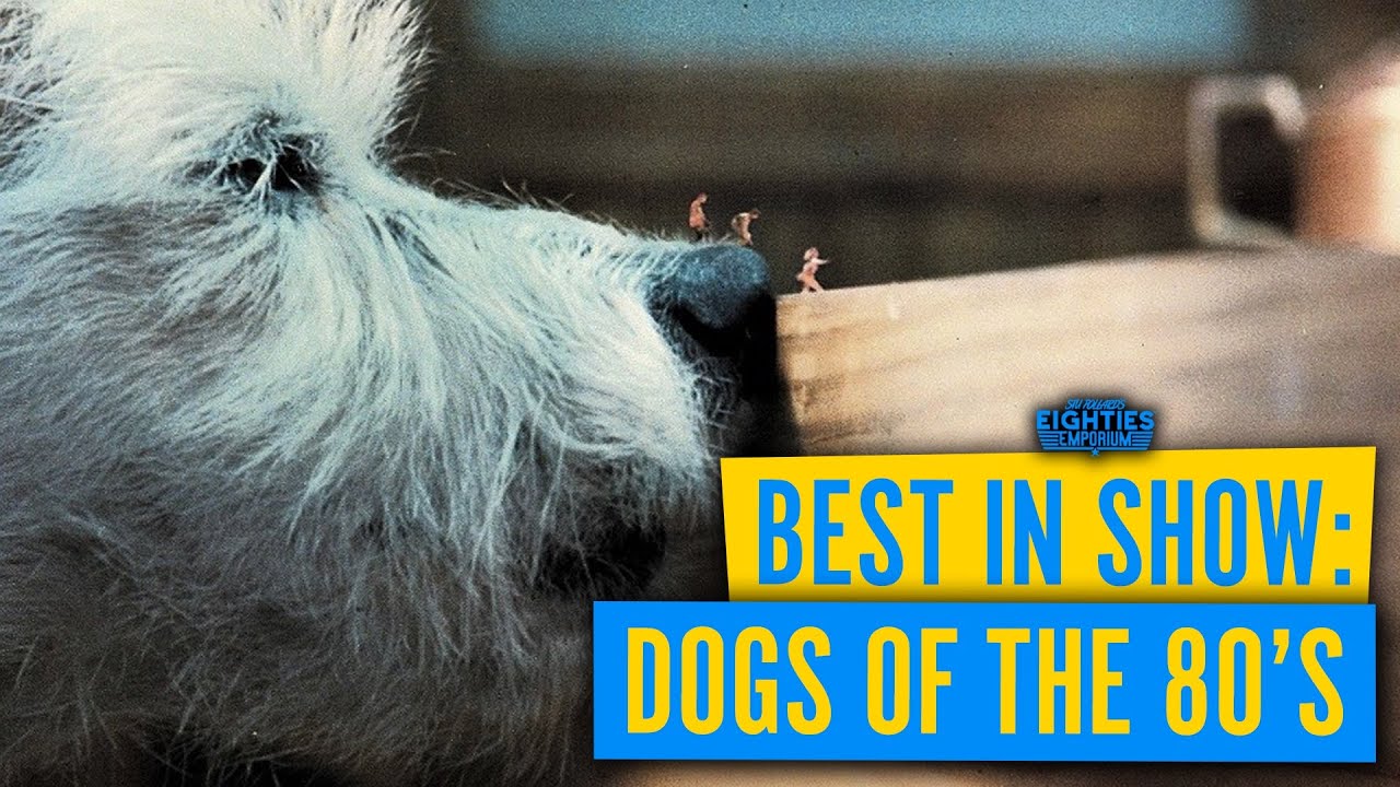 Best in Show: Dogs of the 1980's (80's EMPORIUM) - YouTube