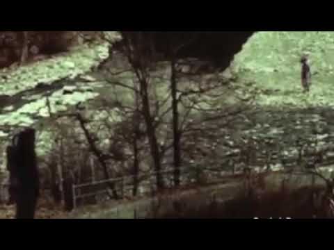 trygf - YouTube