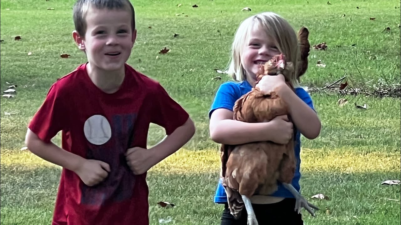 Kids having fun on the farm with tractors, animals, and more! - YouTube