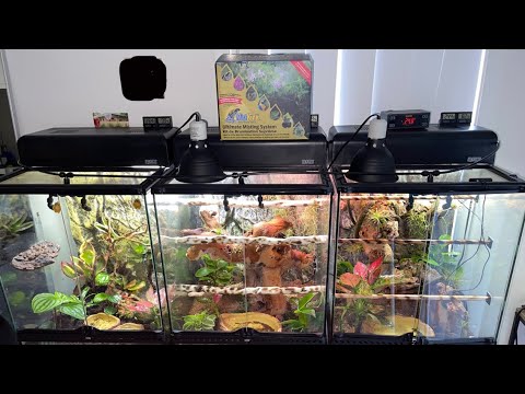 MistKing 5.0 review - YouTube