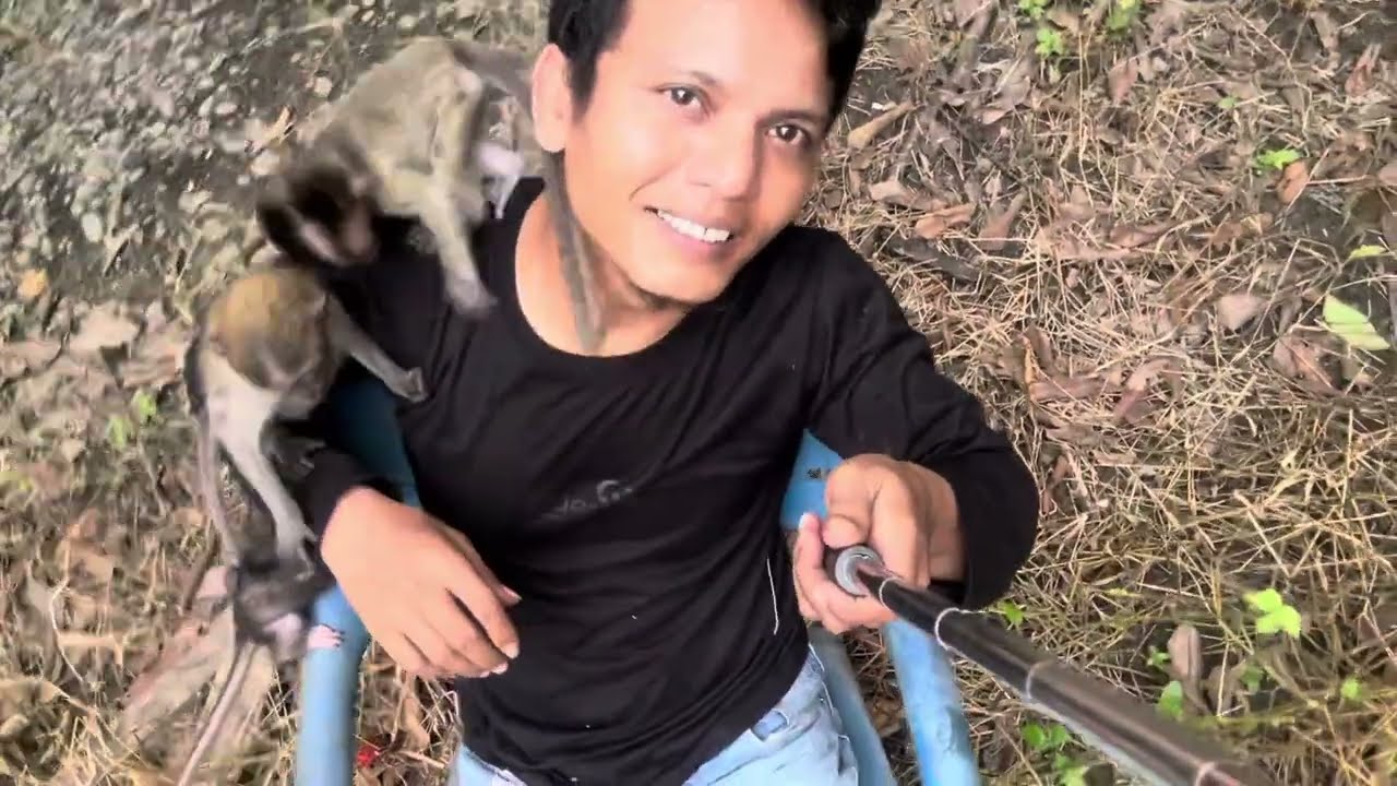 oh my god baby monkey luna has so much guts to collect these poles ...