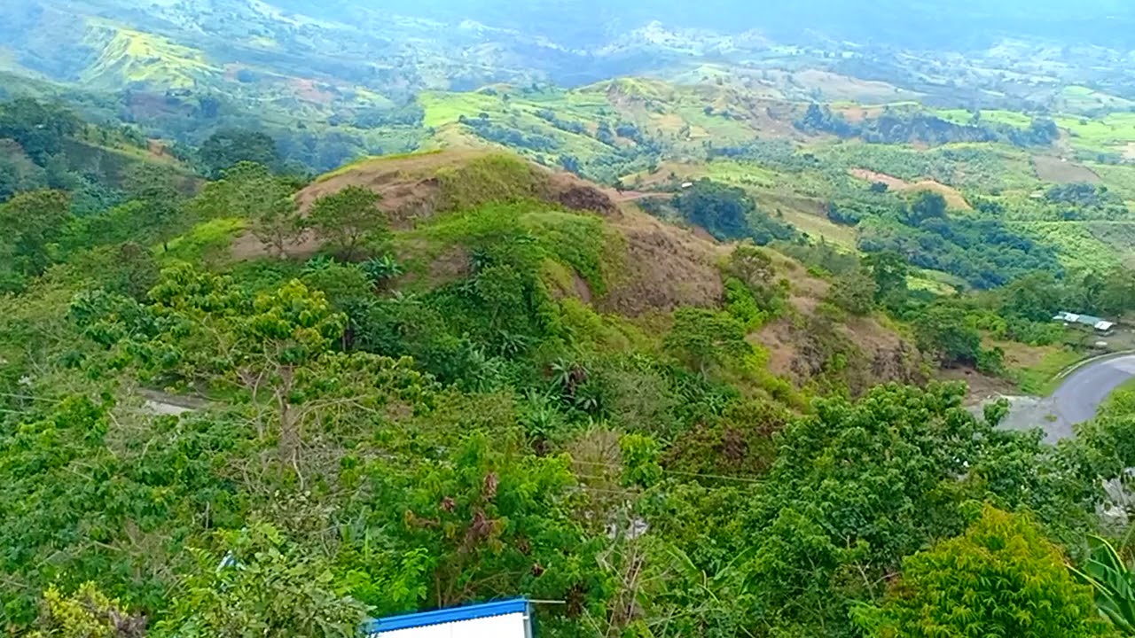 Overview Park - YouTube