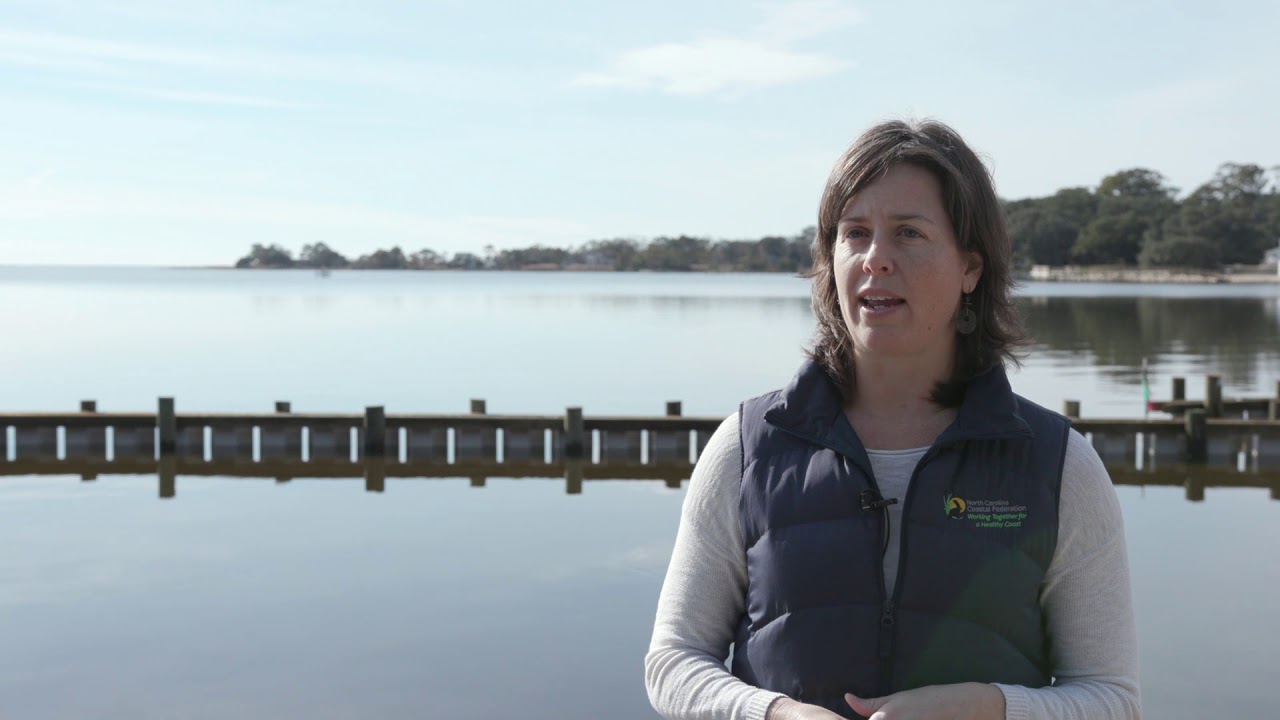 Town of Kitty Hawk Living Shoreline Project - YouTube