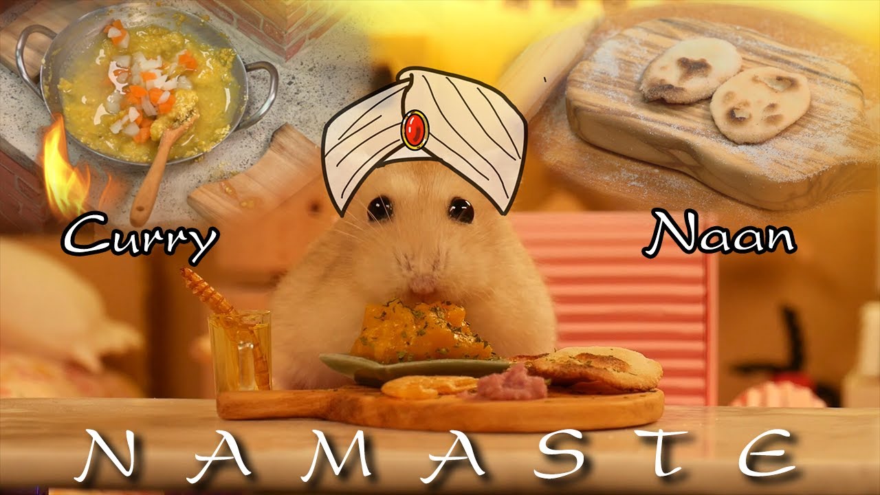햄스터에게 카레를 만들어줬습니다 (Hamster Curry) - YouTube